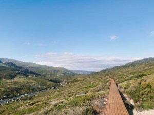 Snowies Alpine Walk: 4-Day Guide – Path & Pedal