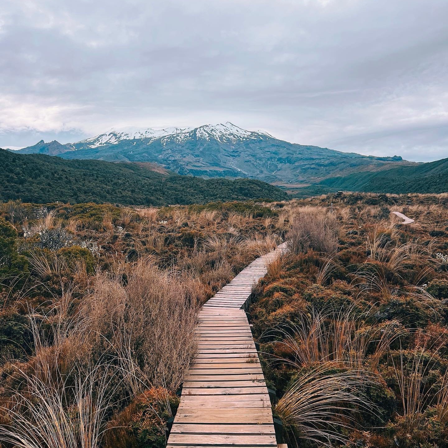 Te Araroa: A Guide to Thru-Hiking the Length of New Zealand – Path & Pedal