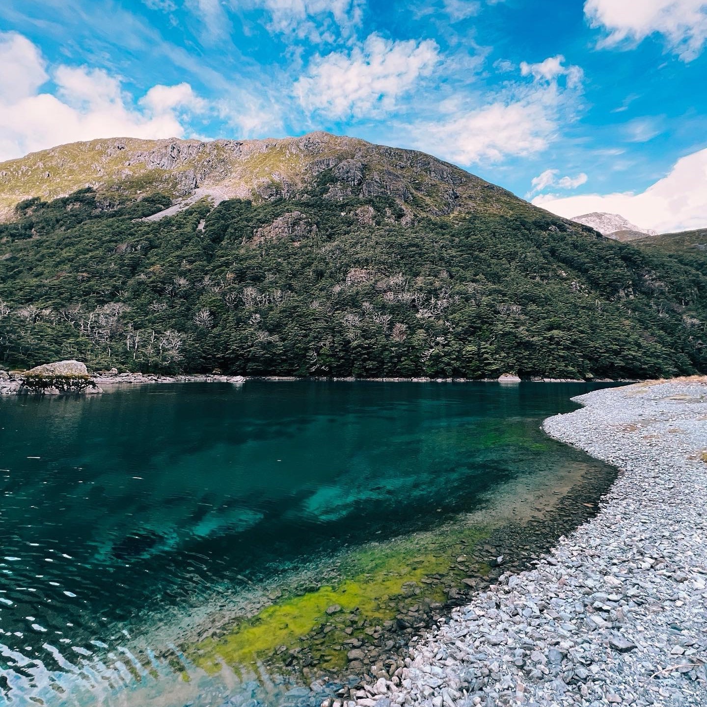 Te Araroa: A Guide to Thru-Hiking the Length of New Zealand – Path & Pedal
