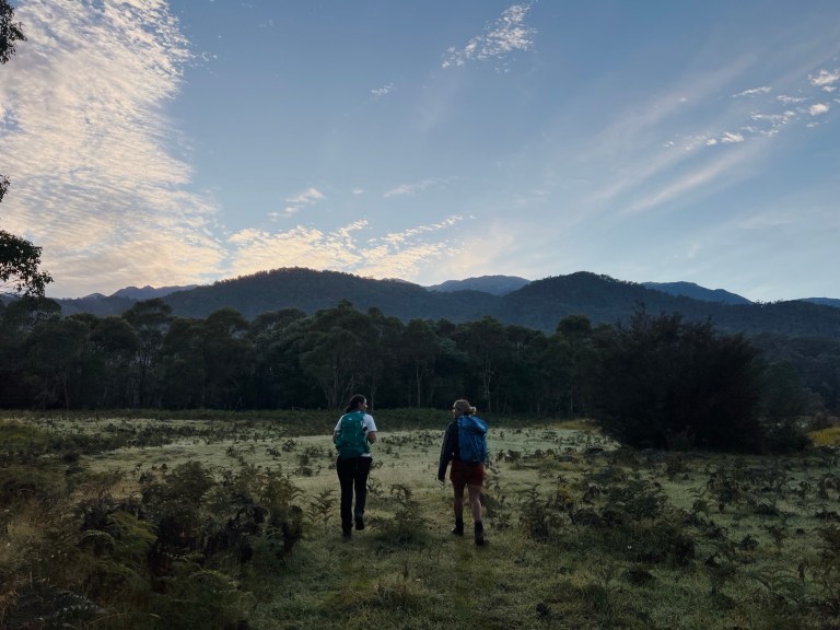 Hannels Spur Track in Kosciuszko National Park: Australia’s Biggest ...