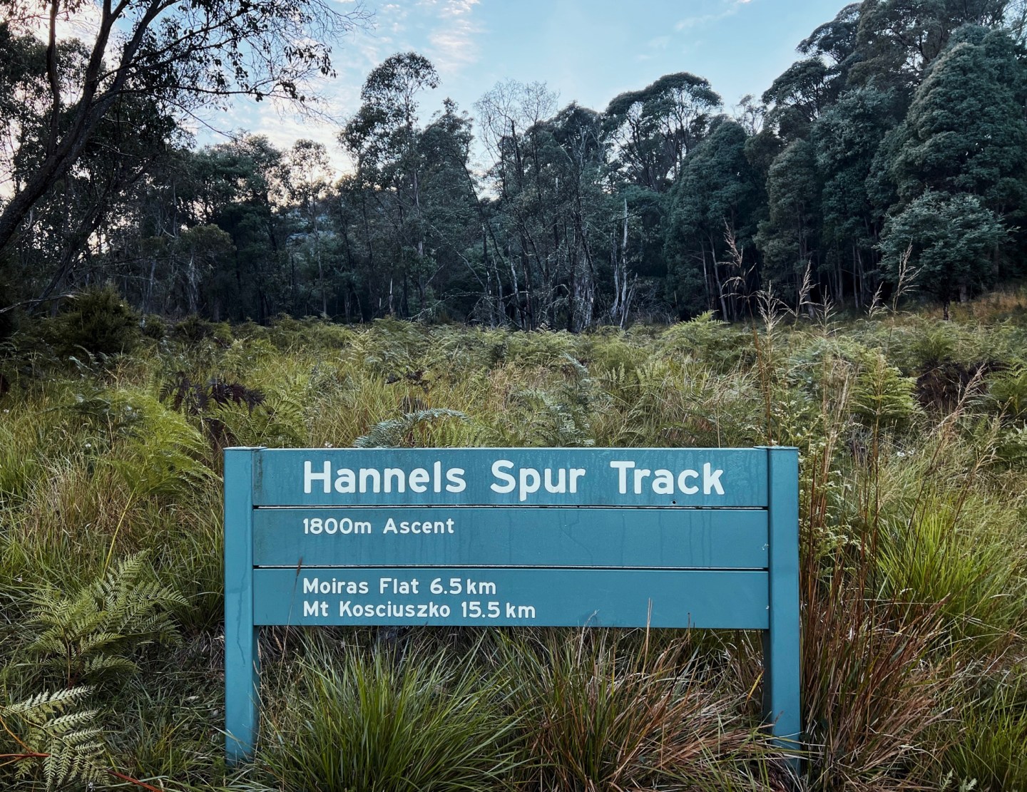 Hannels Spur Track in Kosciuszko National Park: Australia’s Biggest ...