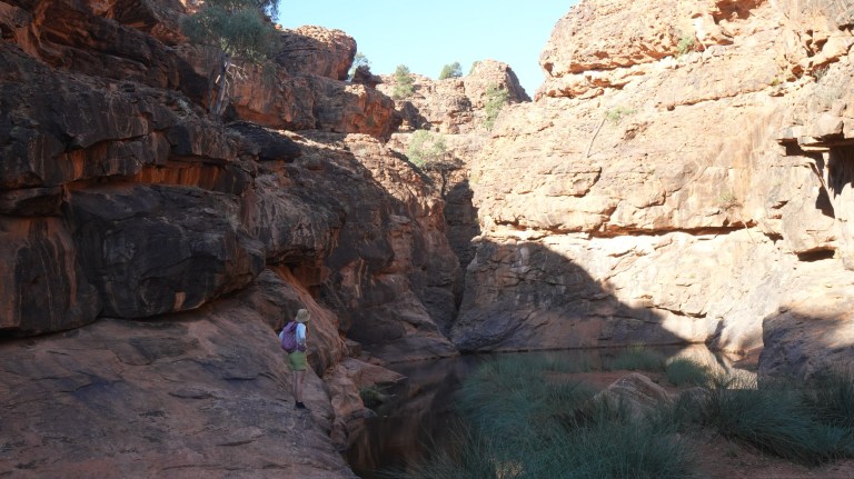Mutawintji National Park: A guide to NSW’s Most Underrated National ...